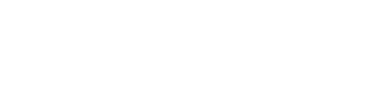 Ascend Professional Solution